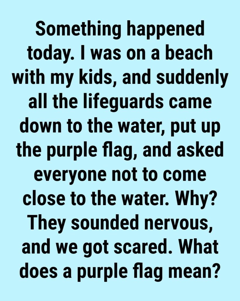 What a Purple Flag at the Beach Means and How to Stay Safe – Clip Media